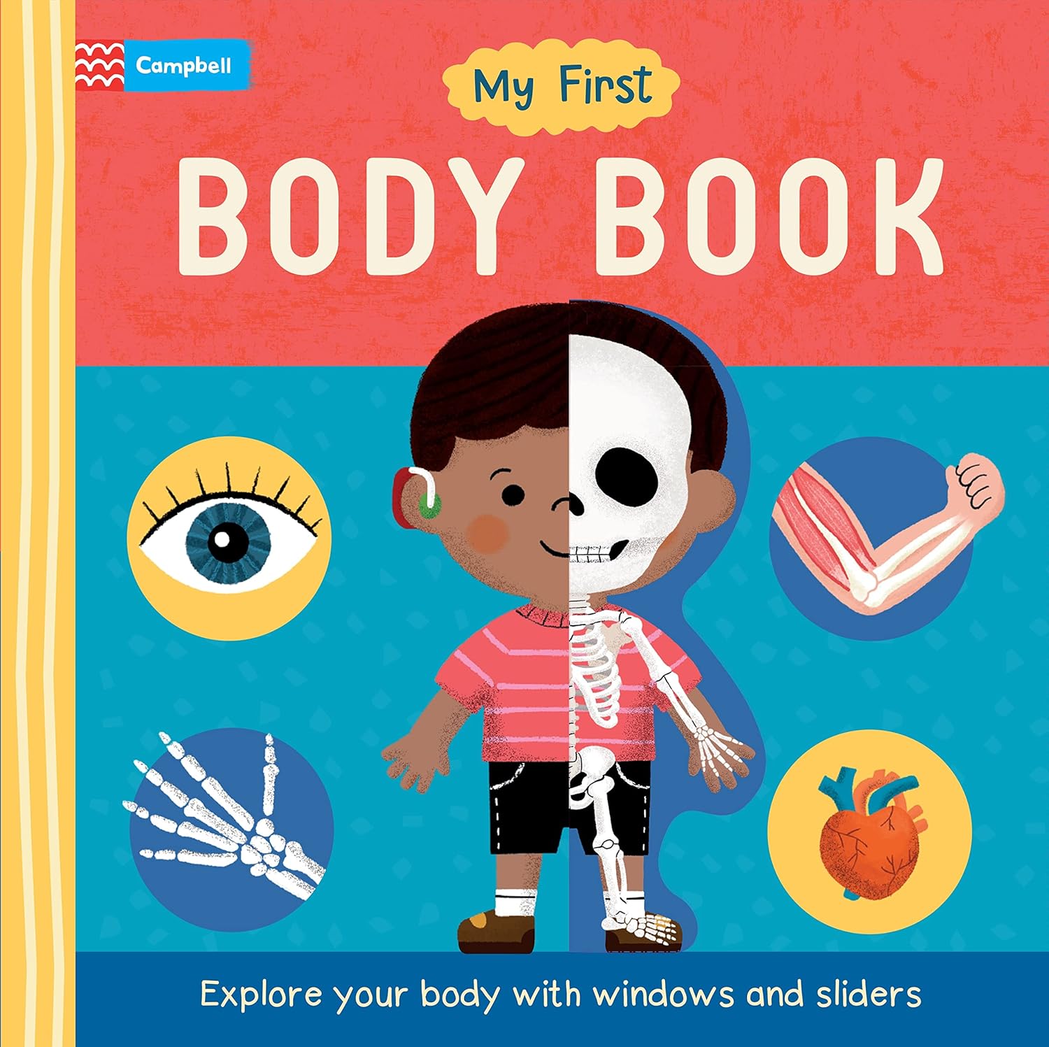 My First Body Book: Explore your body with windows and sliders ...