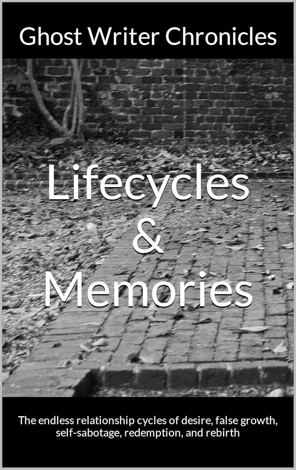Lifecycles & Memories: The endless relationship cycles of desire, false ...
