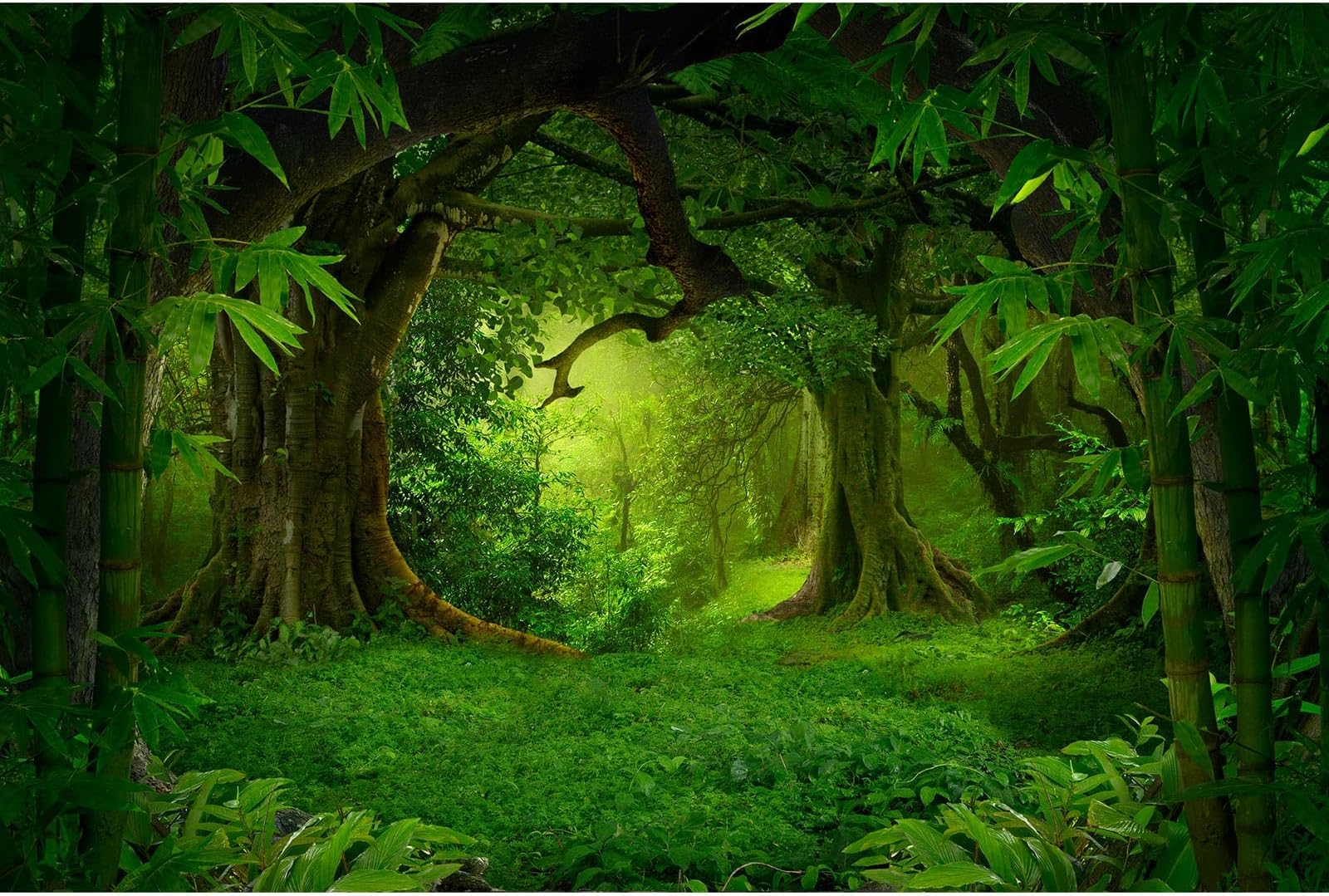 Amazon.com : Jungle Forest Photography Backdrop Camping Theme Party ...