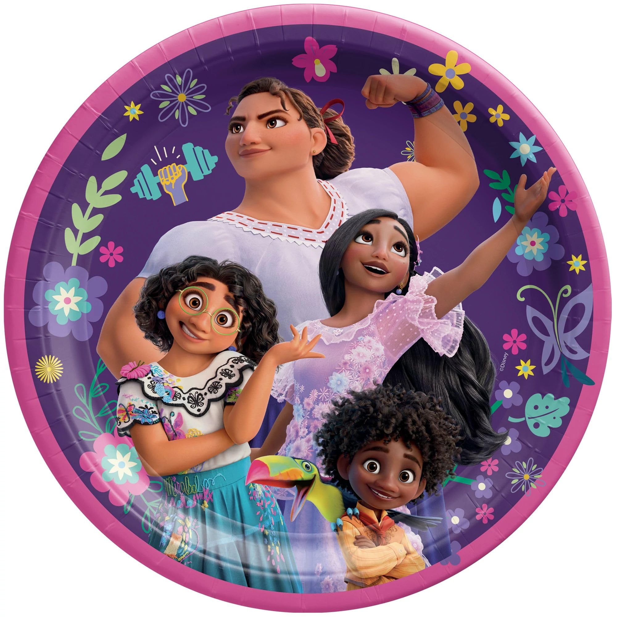 Amazon.com: Encanto Round Paper Party Plates - 9" | Violet | Pack of 8 ...