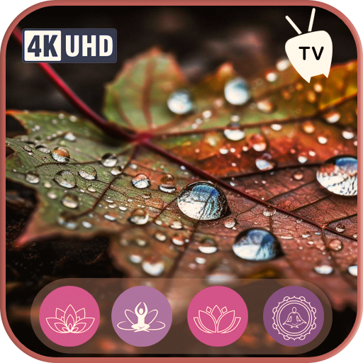 Tranquil Rain - Soothing Sleep Aid with Rain and Thunder Sounds for TV and Tablets:Amazon.in ...
