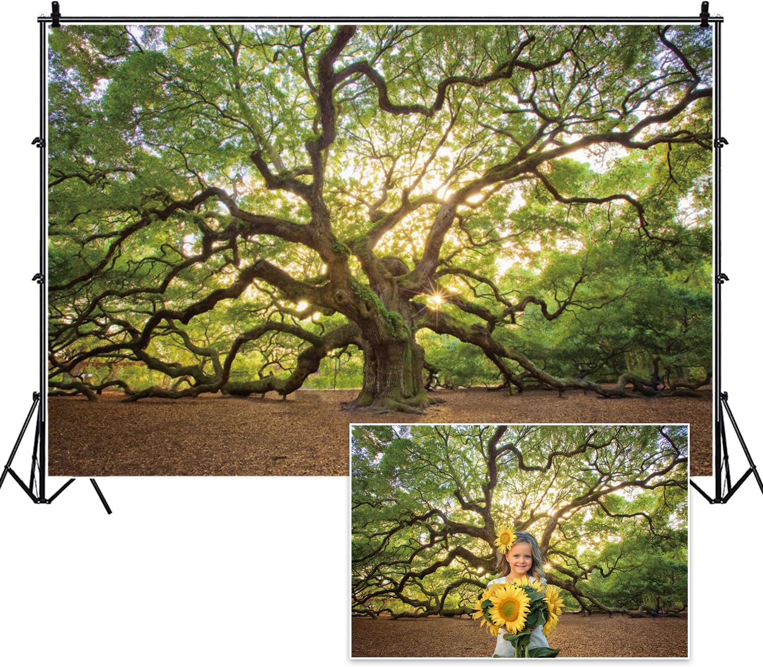 Amazon.com : TTQYFNM 15x10ft Angle Oak Tree Backdrop Rural Aged Tree ...