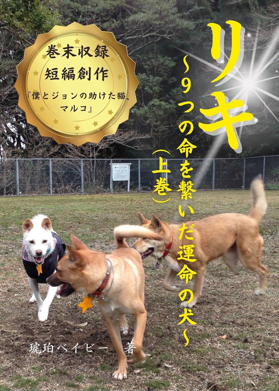 RIKI kokonotunoinochiwotunaidaunnmeinoinu jyoukann (Japanese Edition ...