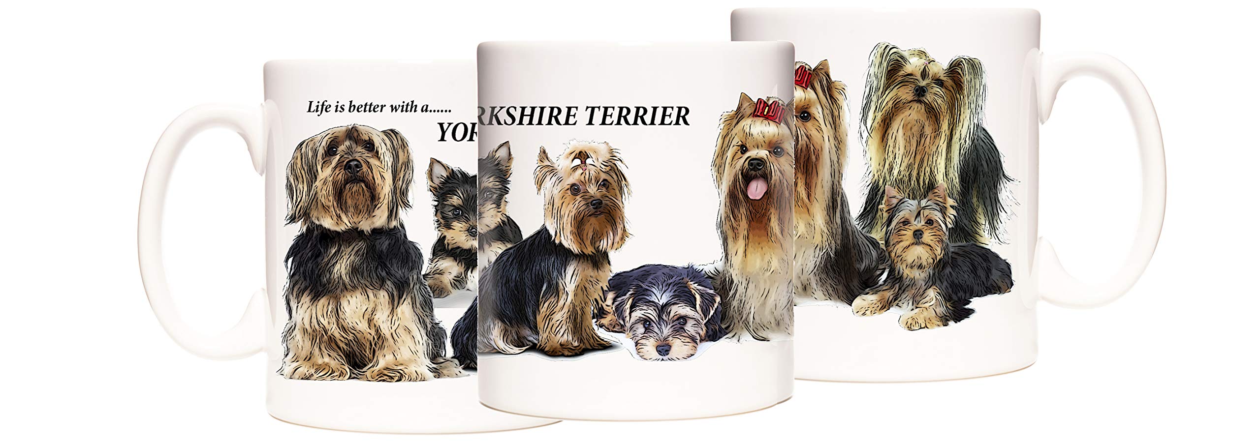 Teetasse Shih Tzu Yorkie Mix 180+ Fotos, Bilder Und Lizenzfreie Bilder