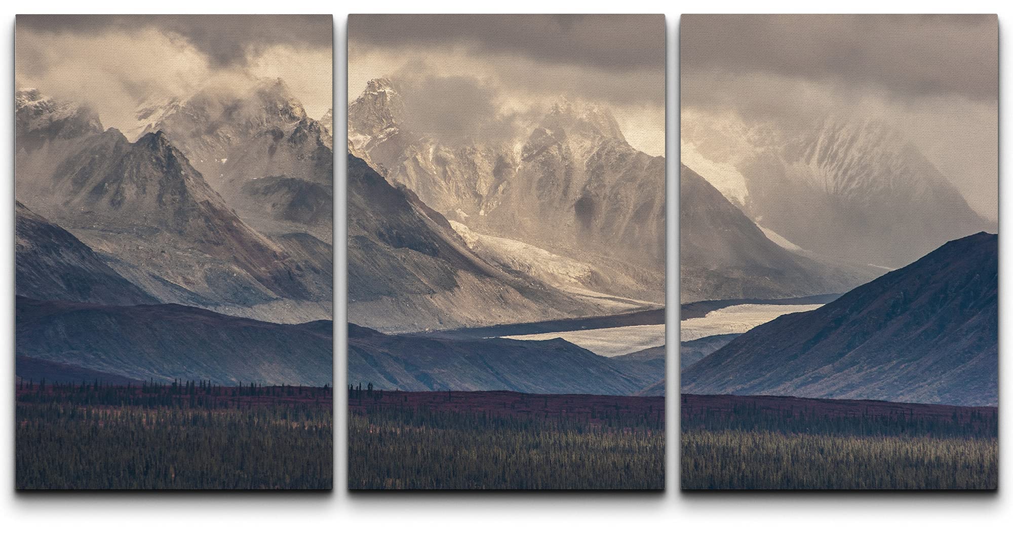 Contemporary Photography Nature