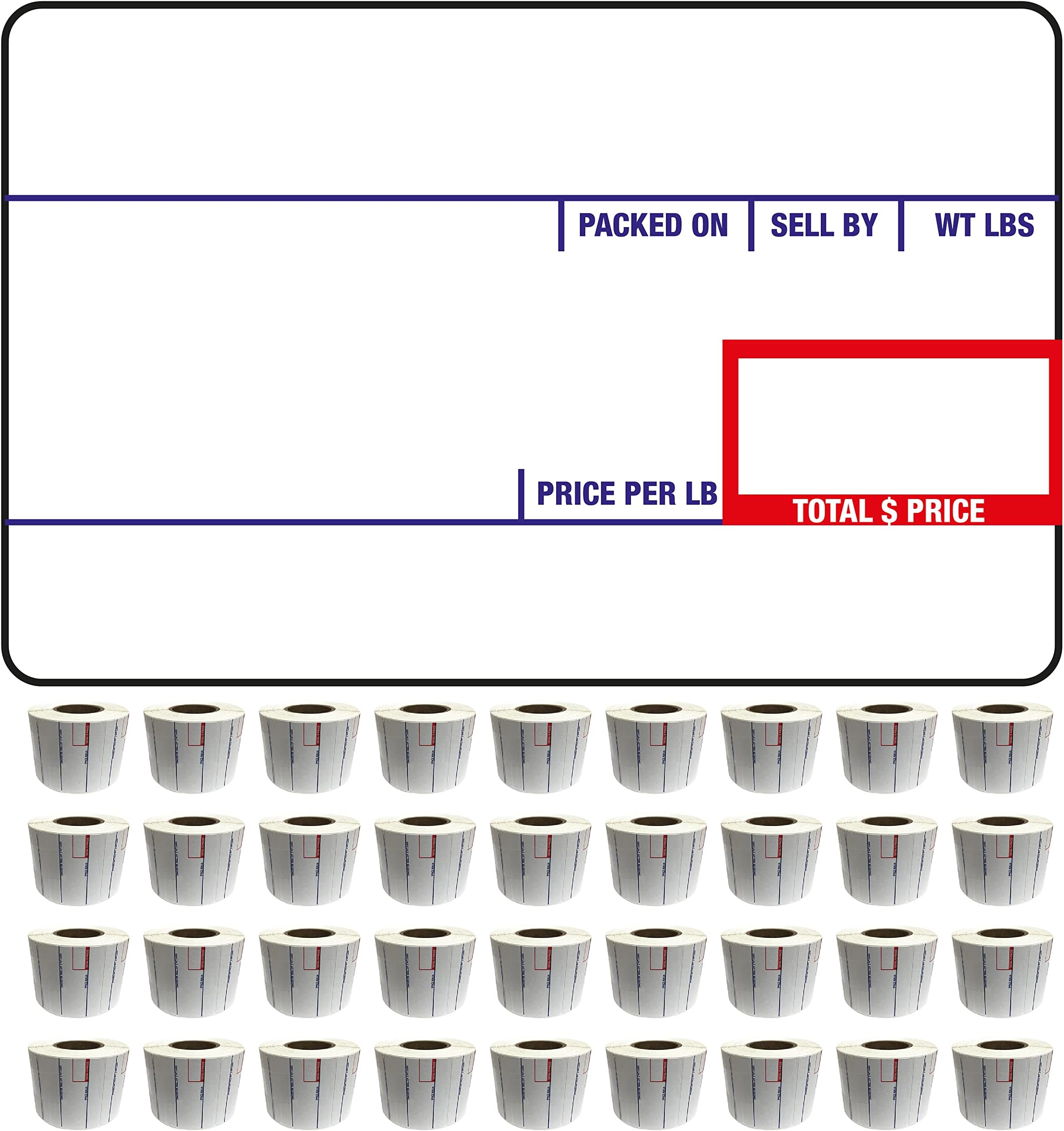 Amazon.com : Globe Scale Label for GSP30A #4631 Blank 12 Rolls 800 ...