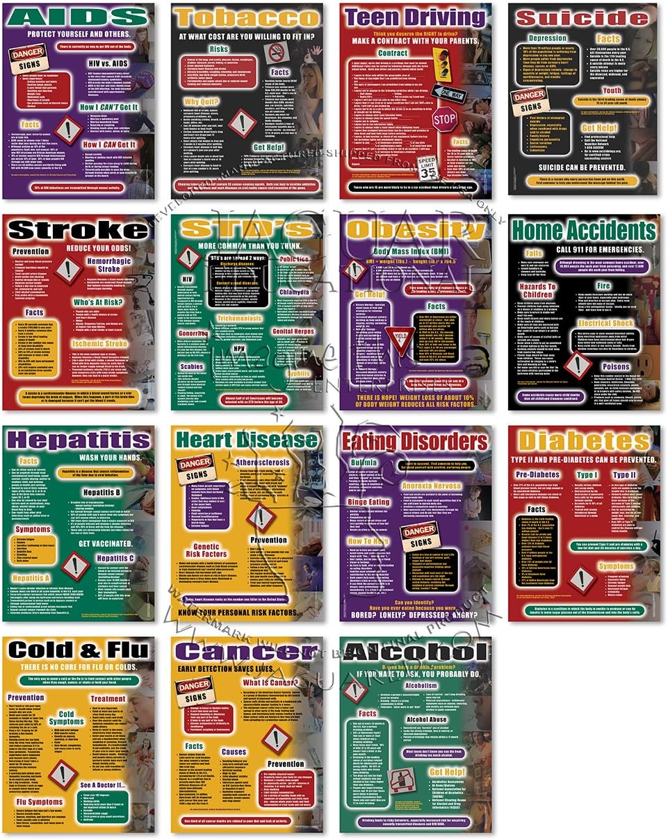 Amazon.com: Jaguar Educational Health & Wellness Set of 15 Extra Large ...