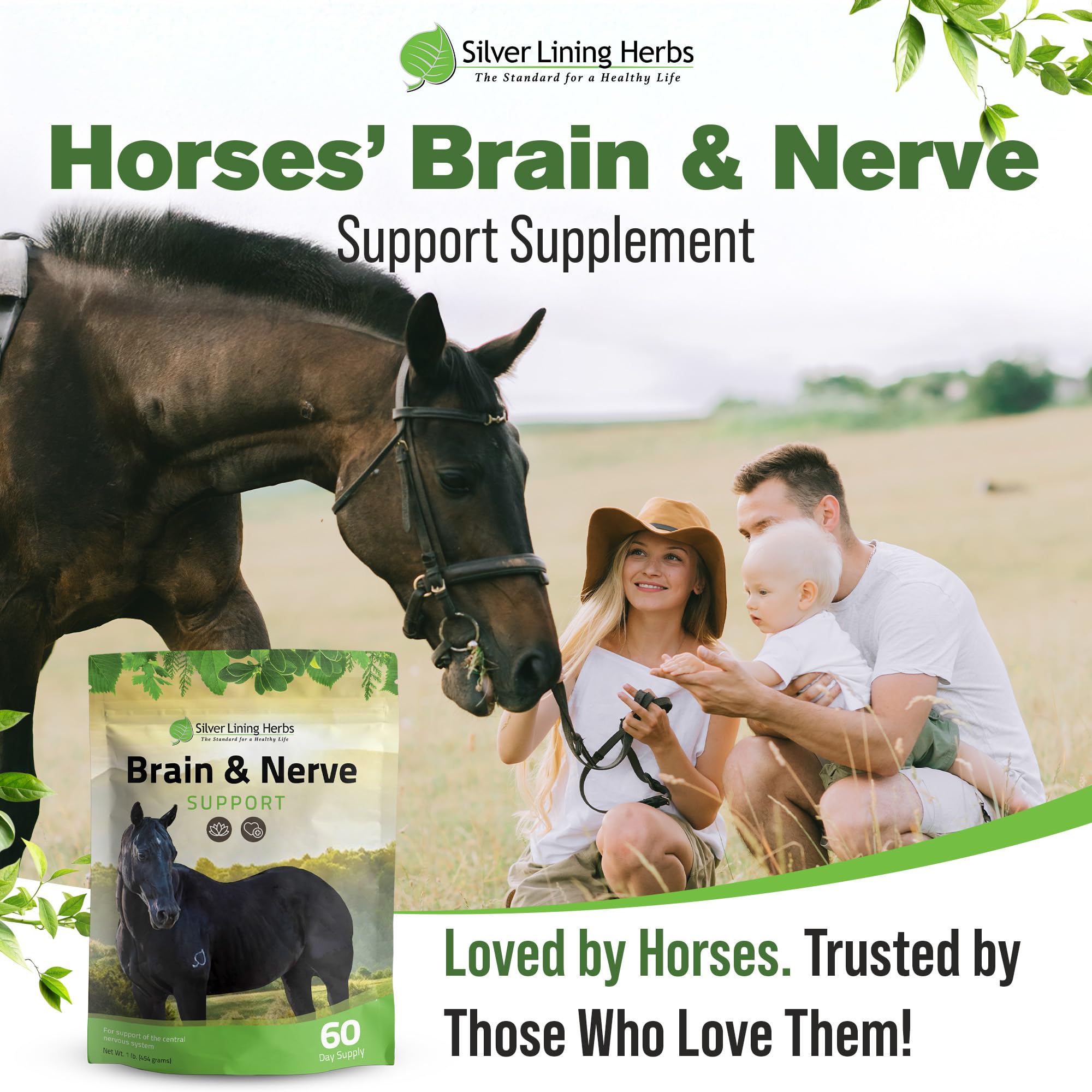 Nerve Supplement Silver Lining Herbs Brain & Nerve Support For Horses ...