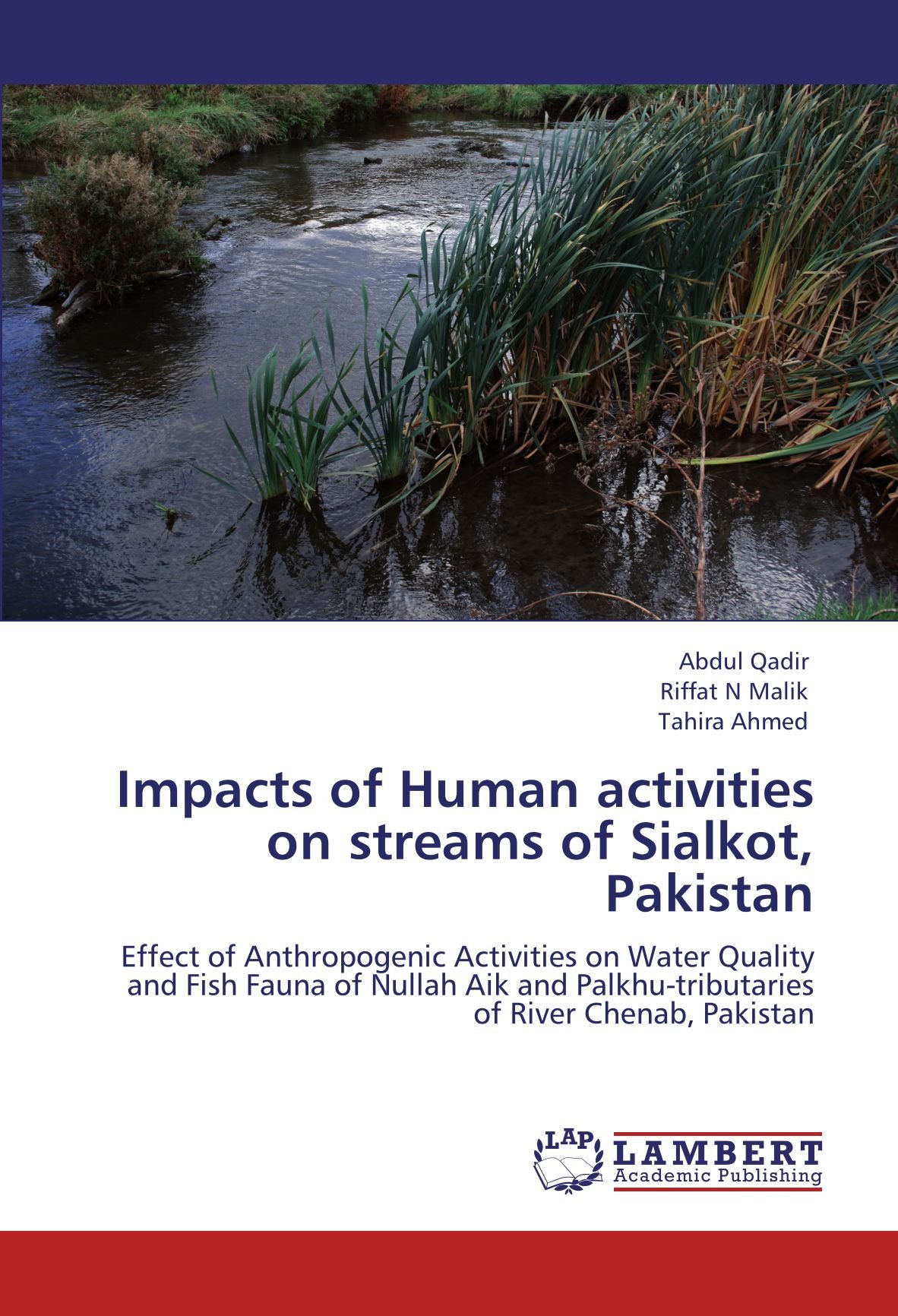 Buy Impacts of Human activities on streams of Sialkot, Pakistan: Effect ...