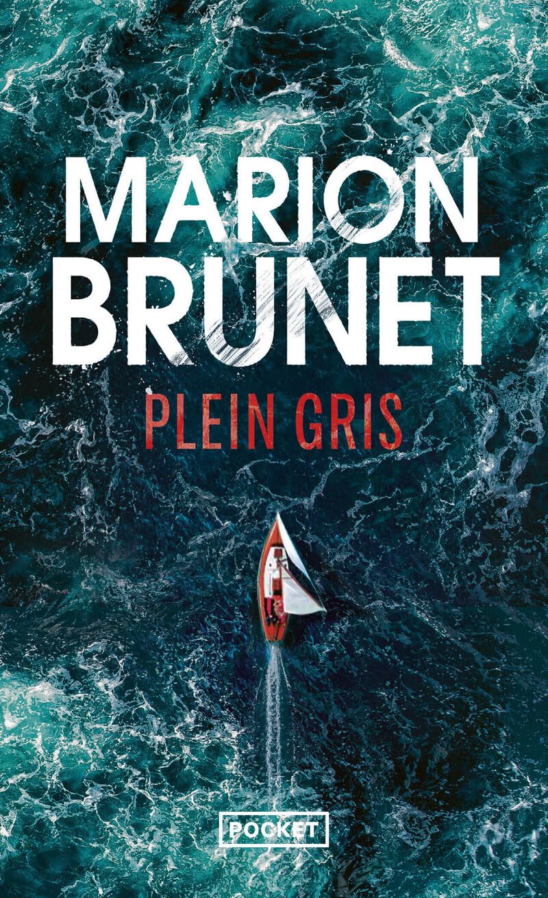 PLEIN GRIS : BRUNET,MARION: Amazon.ca: Books