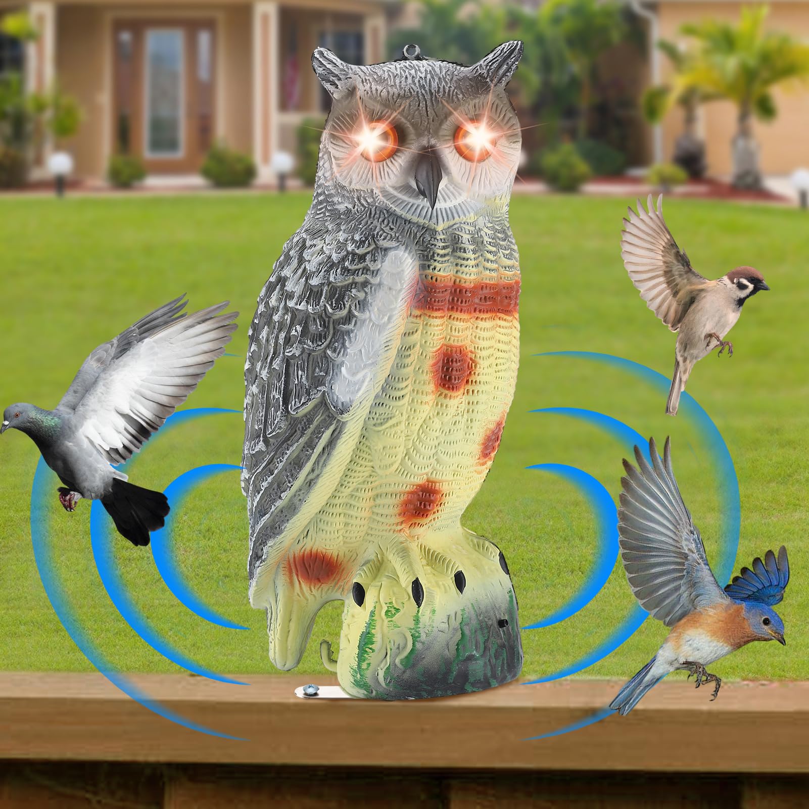Amazon.com: Aulock Fake Owl Decoy with Detection Hoot Sound Flashing ...
