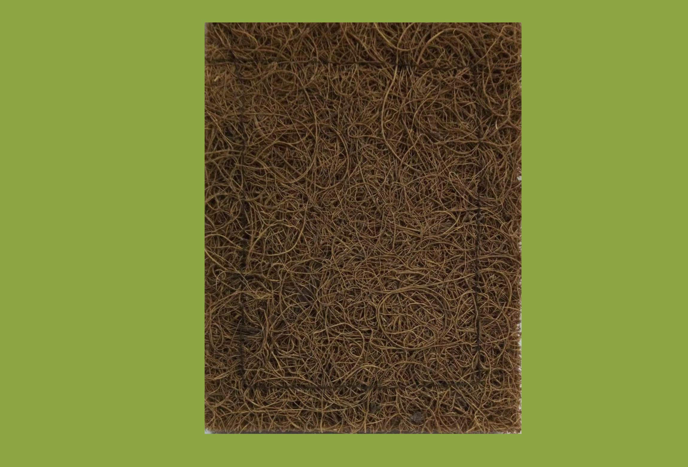 Buy Bio degradable _ Eco Friendly _ Softer to Hands _ Coconut Coir ...