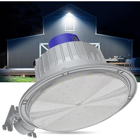 LED Barn Light, Dusk to Dawn Outdoor Lighting with 100W 10000LM 5000K ...