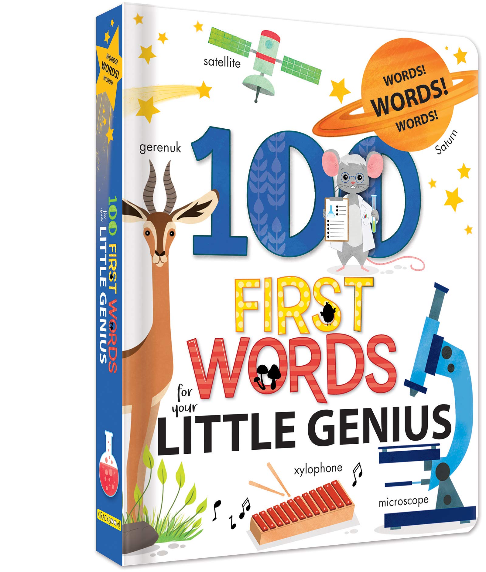 Amazon.com: 100 First Words for Little Genius: 9782898020544: Sechao ...