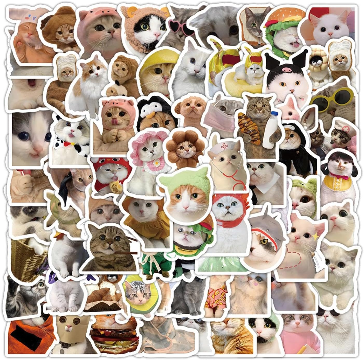 Amazon.com: 100pcs Cute Cat Stickers - Waterproof Stickers, Cartoon cat ...