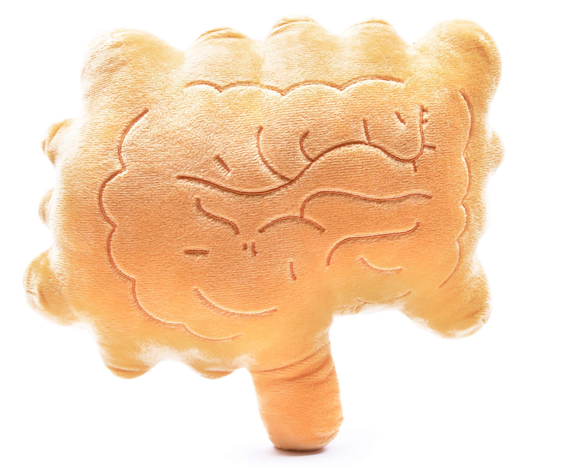 Buy nerdbugs Intestine Plush- Intestined for Greatness-Colon/Intestine ...