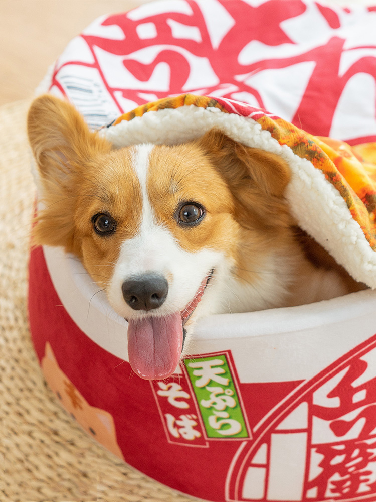 Watch Noodle Pet Bed on Amazon Live