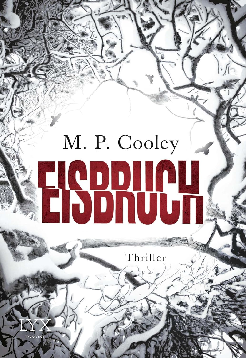 Amazon.com: Eisbruch: 9783802597633: M.P. Cooley: Books