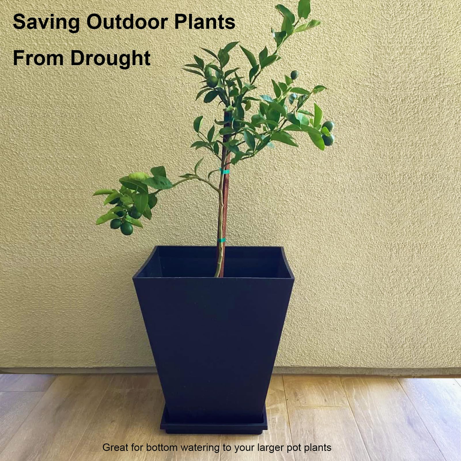 Snapklik.com : Tectsia Square Plant Saucer 12 Inch 5 Pack, Planter ...
