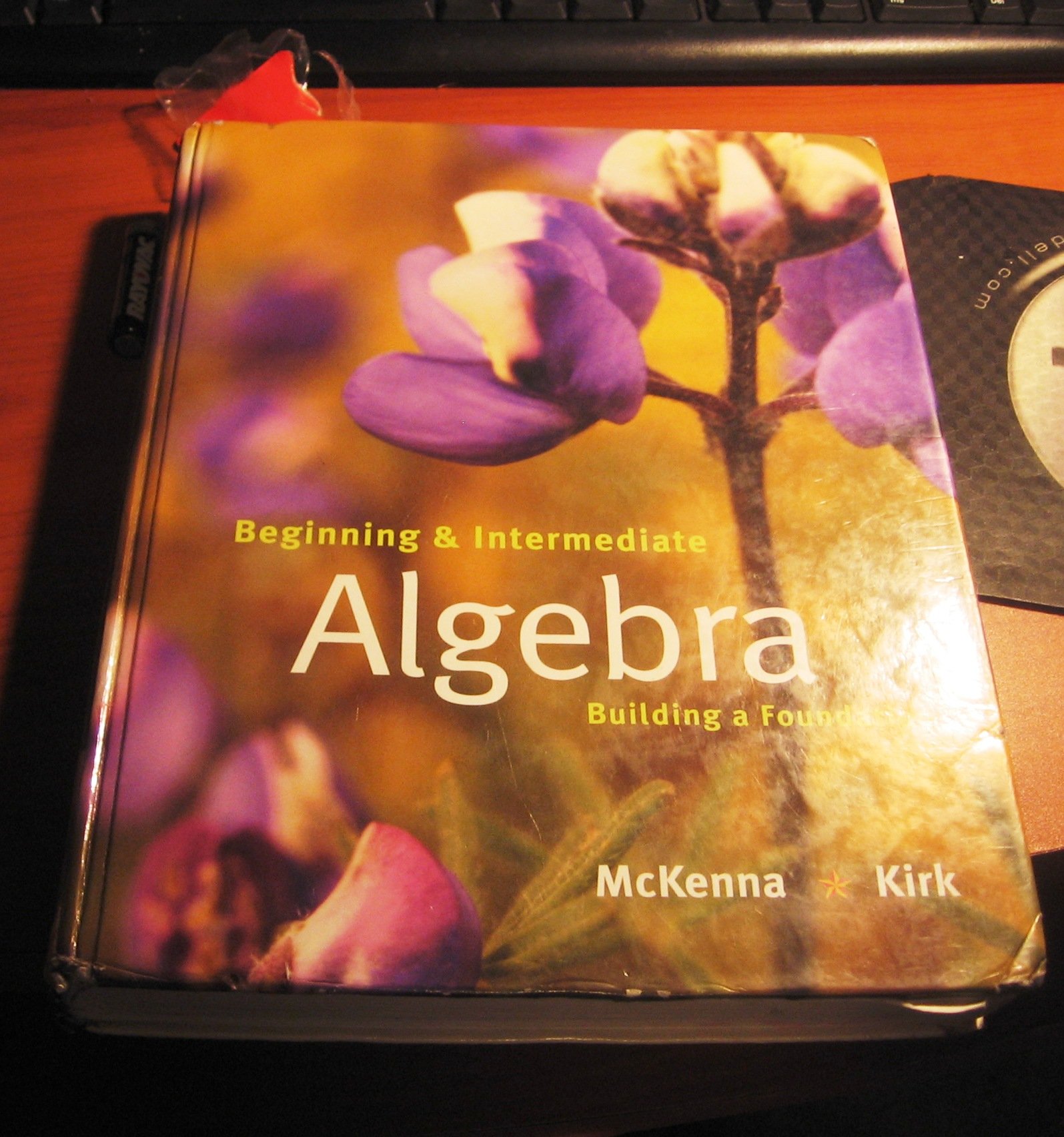 Beginning and Intermediate Algebra: Building a Foundation: McKenna ...