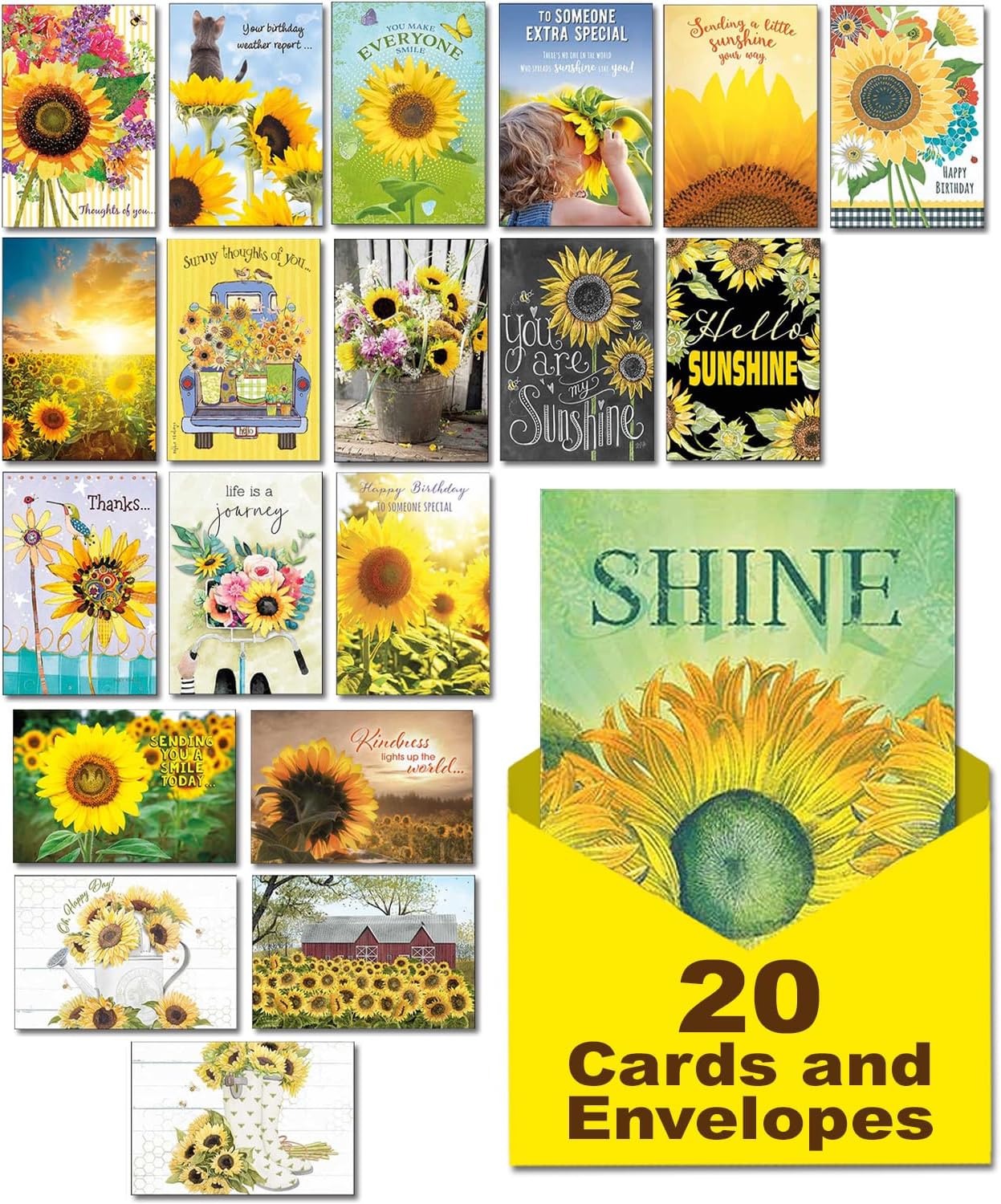 Amazon.com : Leanin' Tree, Hello Sunshine, Box of Cards for All ...