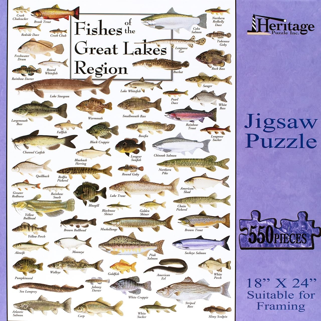 Amazon.com: Heritage Puzzle Fishes of The Great Lakes Region Jigsaw ...