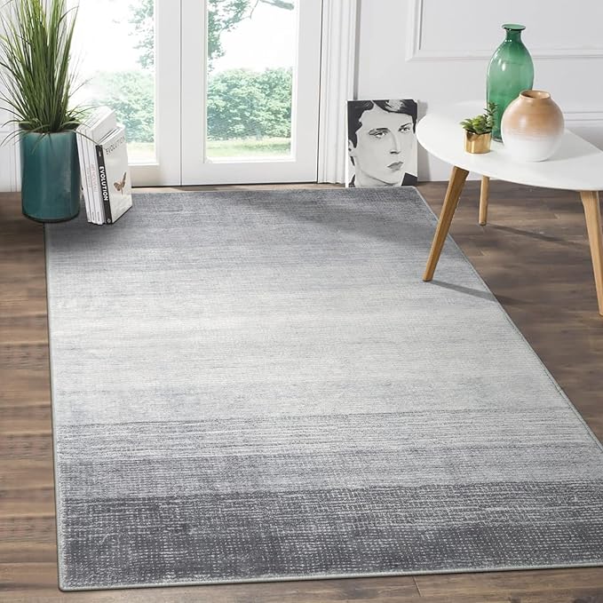 Amazon.com: Wonnitar Modern Ombre Area Rug, Washable 3x5 Entry Rug Grey ...
