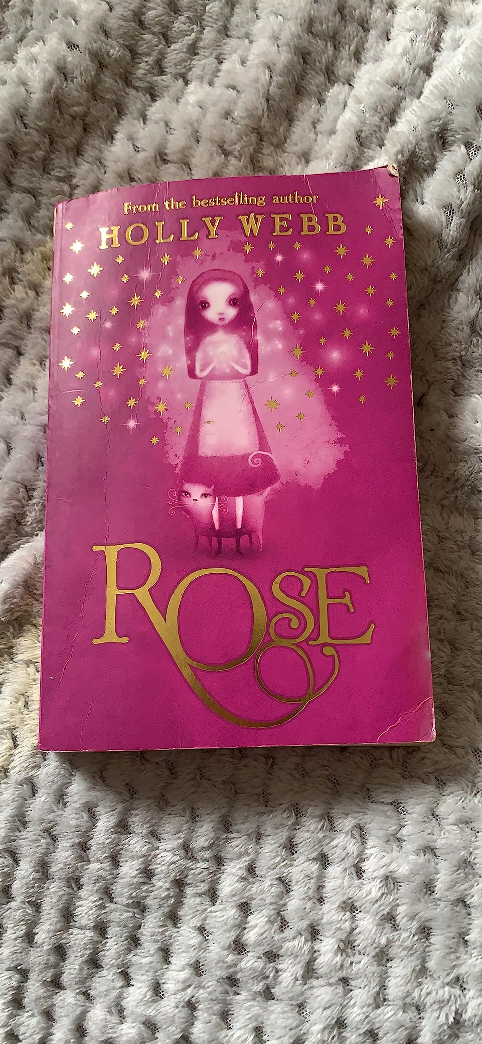 Rose: Book 1 eBook : Webb, Holly: Amazon.co.uk: Kindle Store