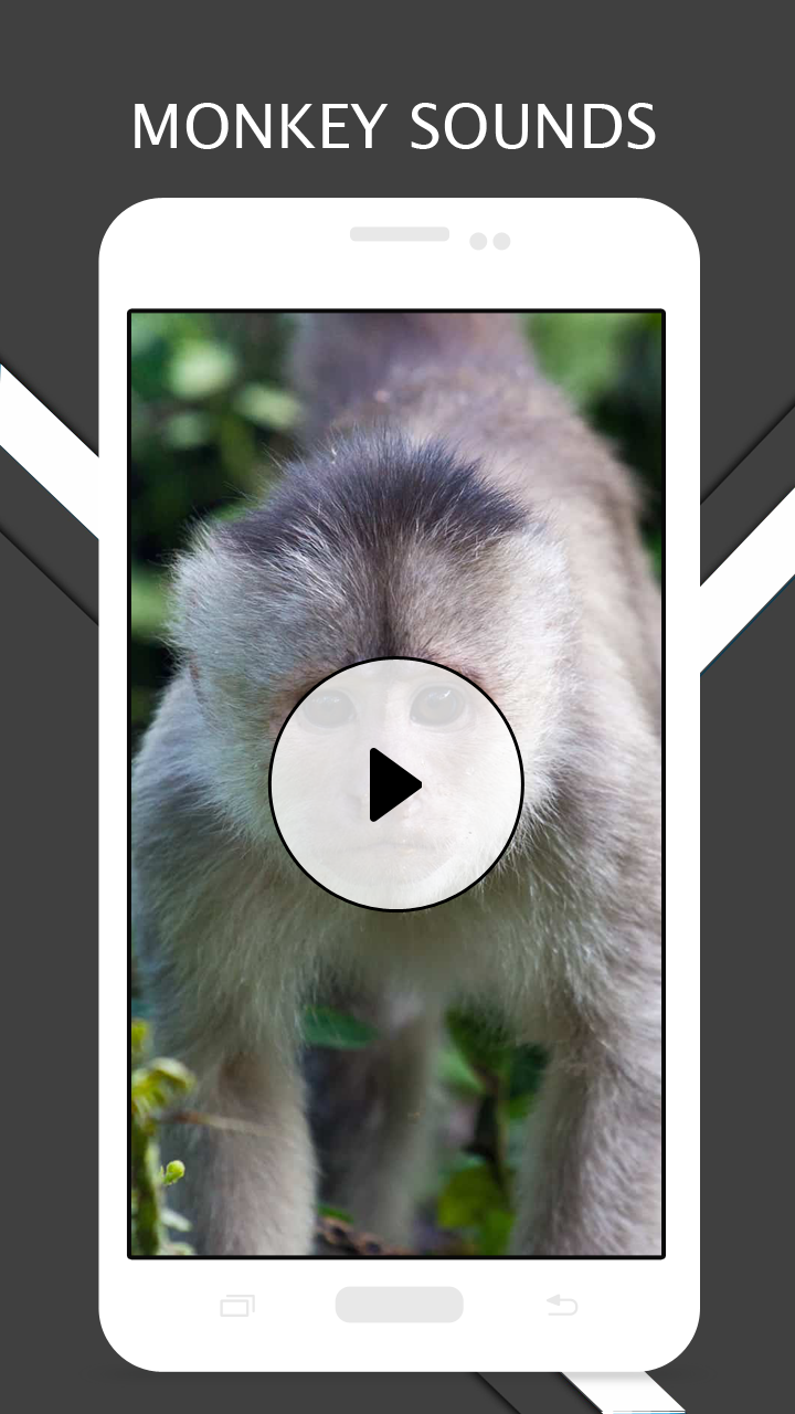 Monkey Sound And Ringtones - App on Amazon Appstore