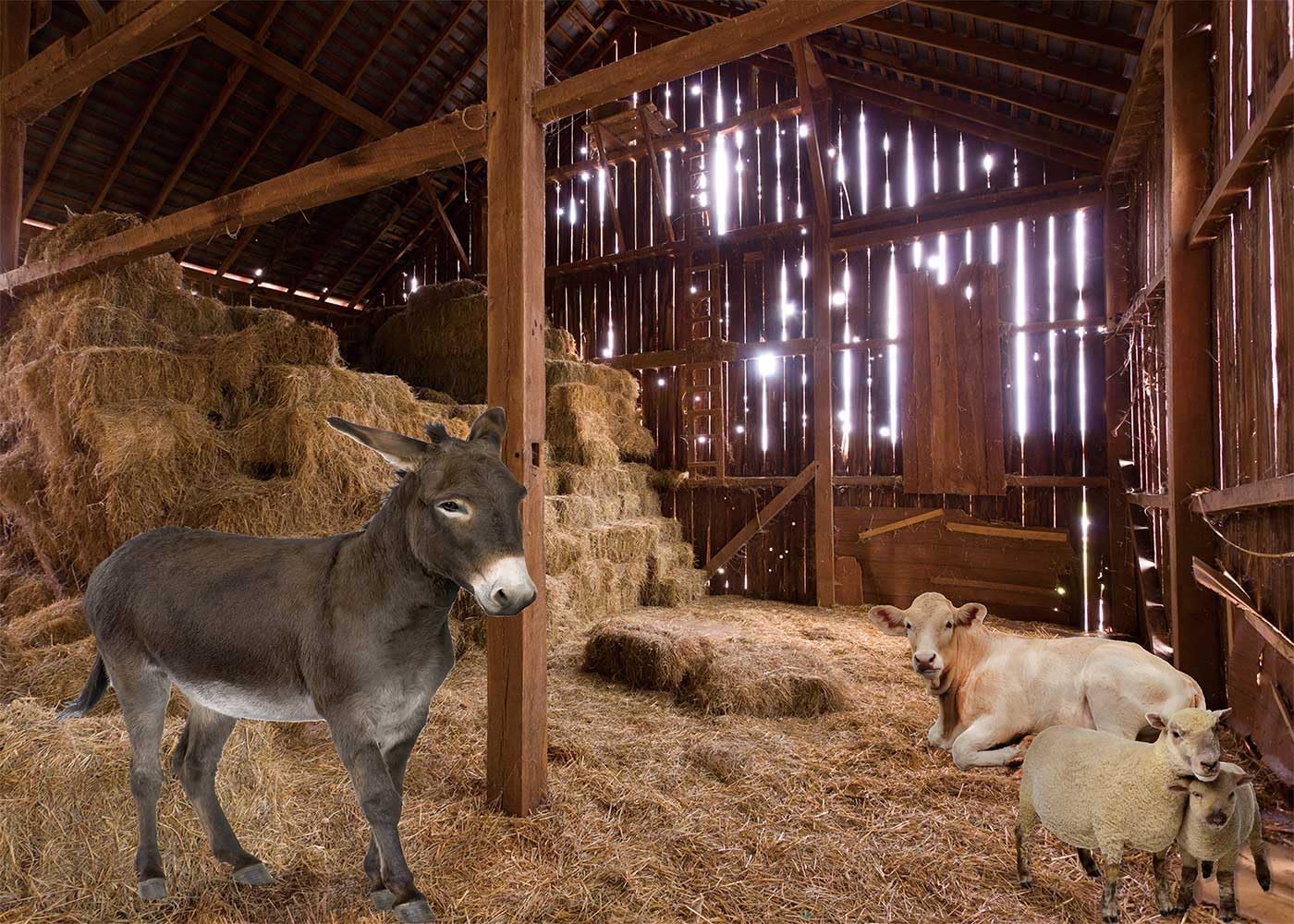 Amazon.com : Zliisang 9X 6ft Old Barn Nativity Backdrop Straw Hay ...