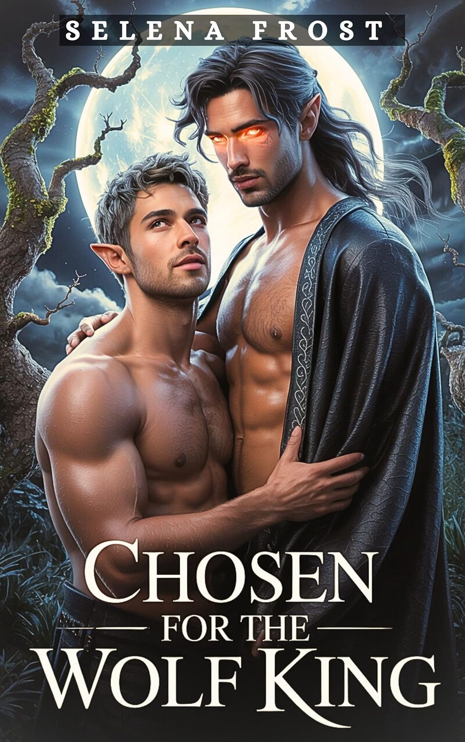 Chosen for the Wolf King: An MM Fated Mates Werewolf Shifter Romance ...