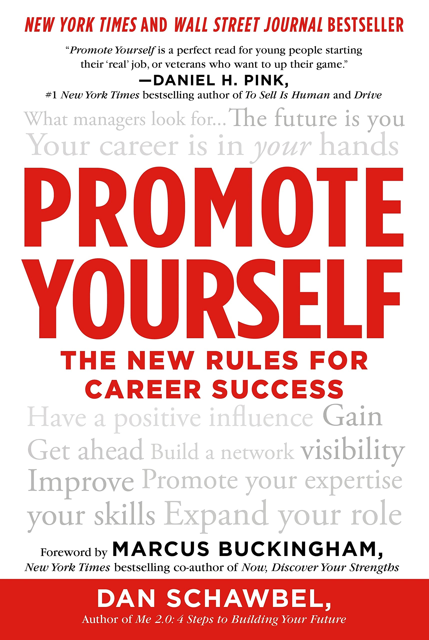 Promote Yourself: The New Rules for Career Success: Schawbel, Dan ...