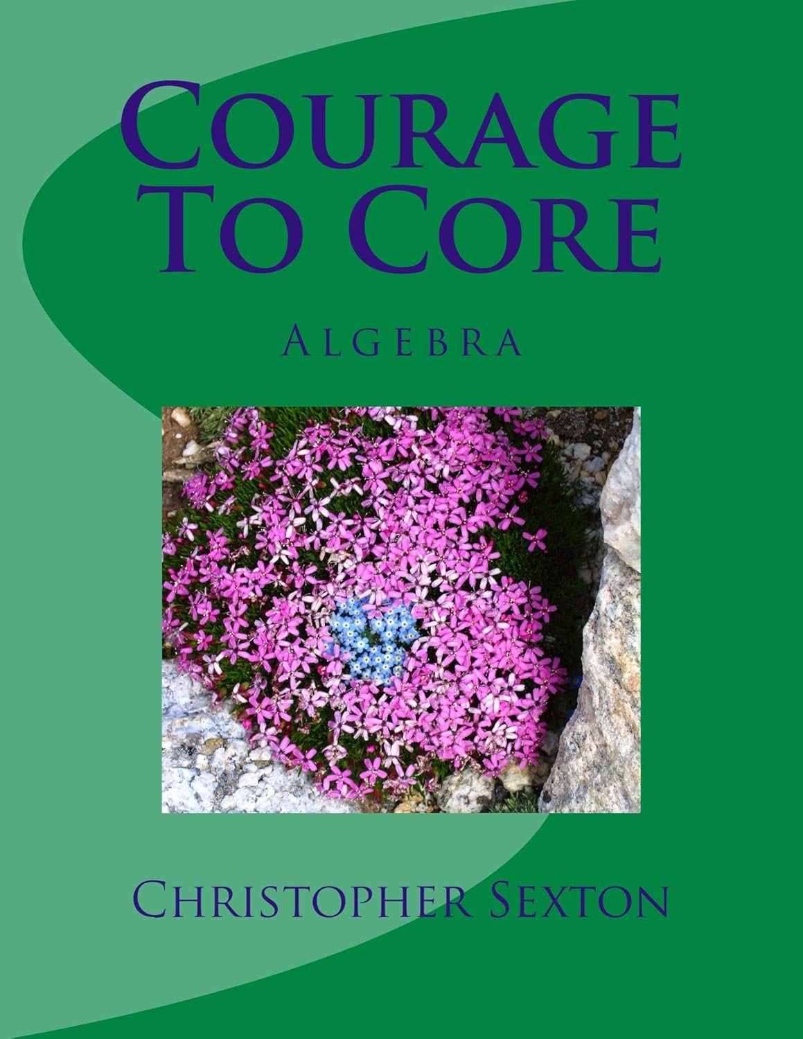 Courage To Core: Algebra 1, Sexton, Christopher - Amazon.com