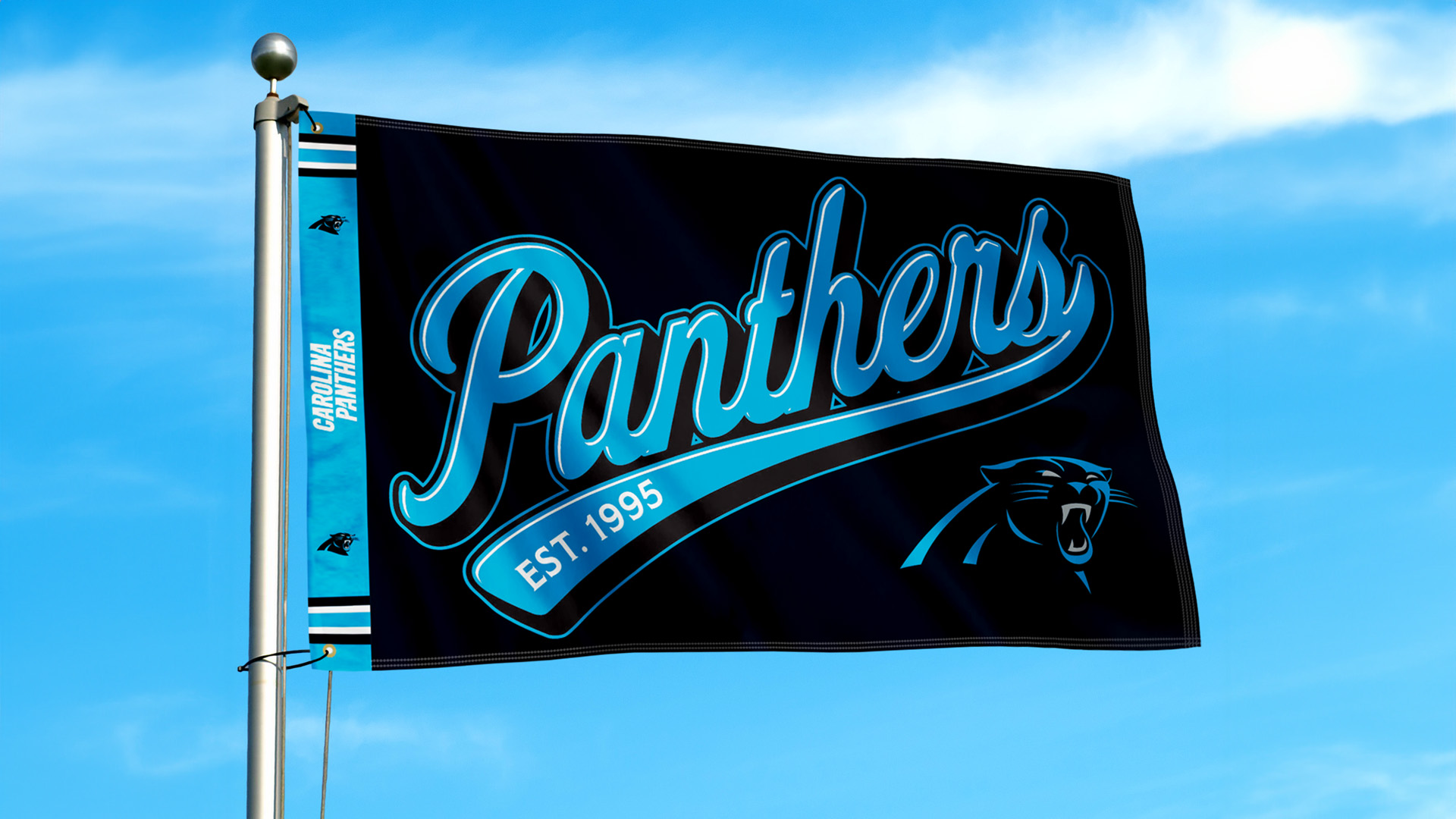 Carolina Panthers Mini Banners