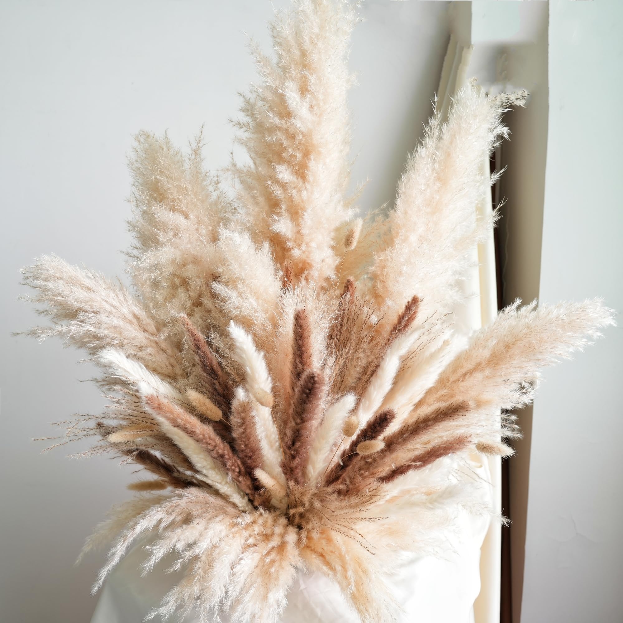 Amazon.com: 10pcs 46'' White Pampas Grass Tall Decor - Pompas Floral ...