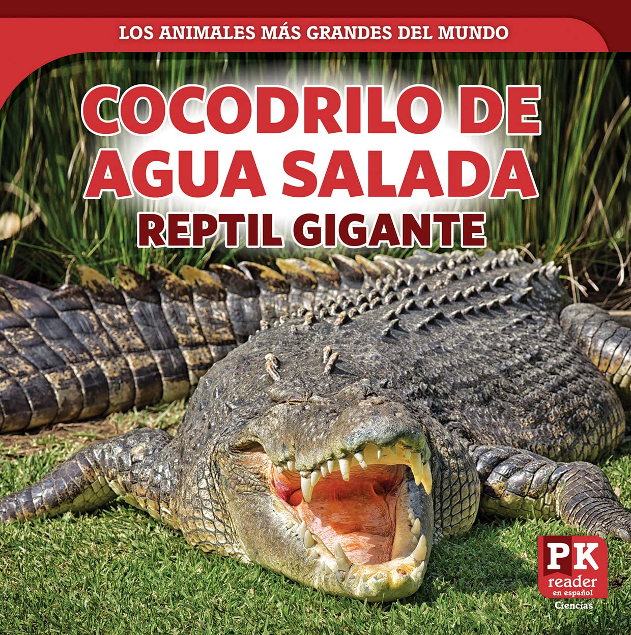 El Cocodrilo Mas Grande Del Mundo