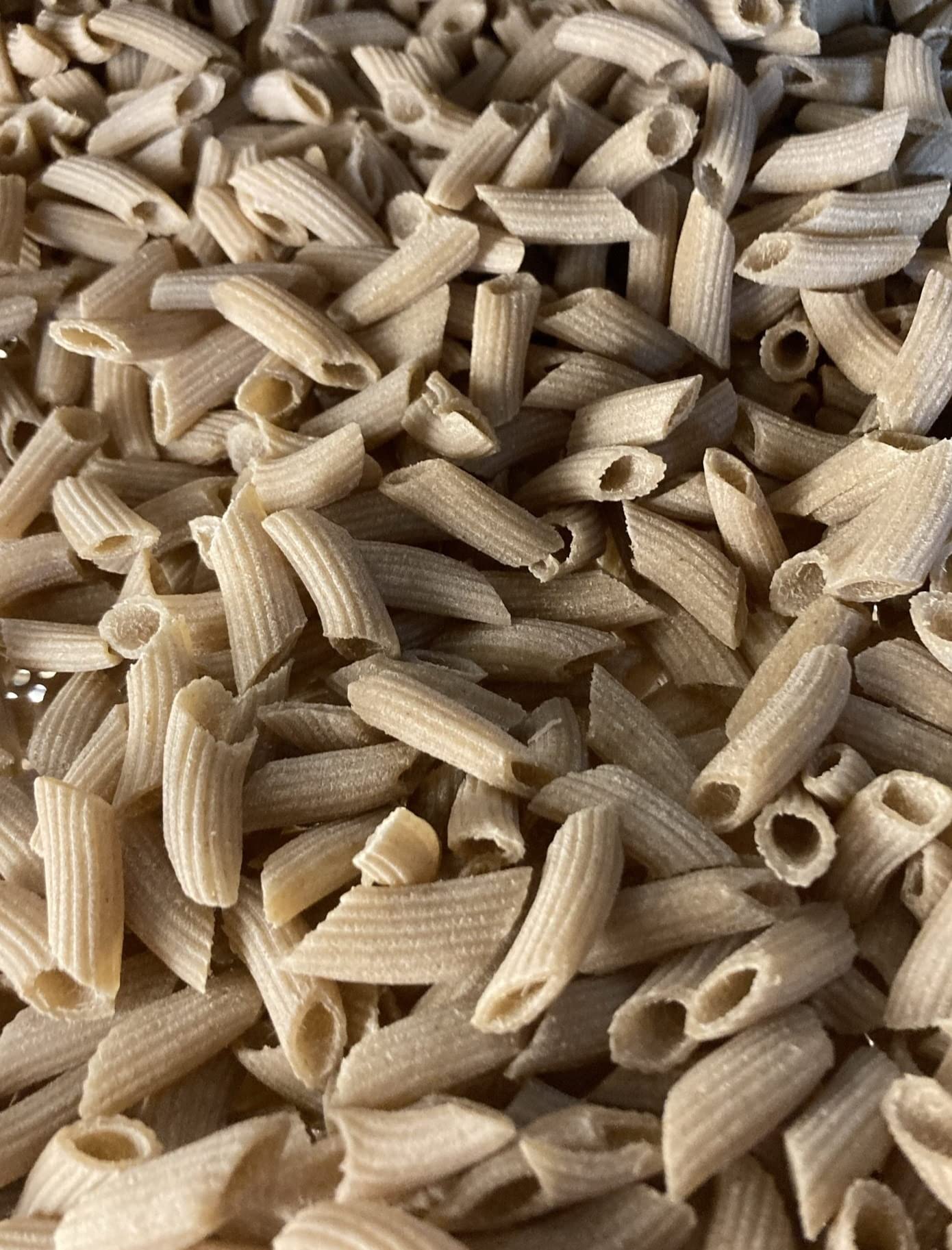 Amazon.com : Organic Bread of Heaven ~ High-Fiber Sourdough Penne Pasta ...