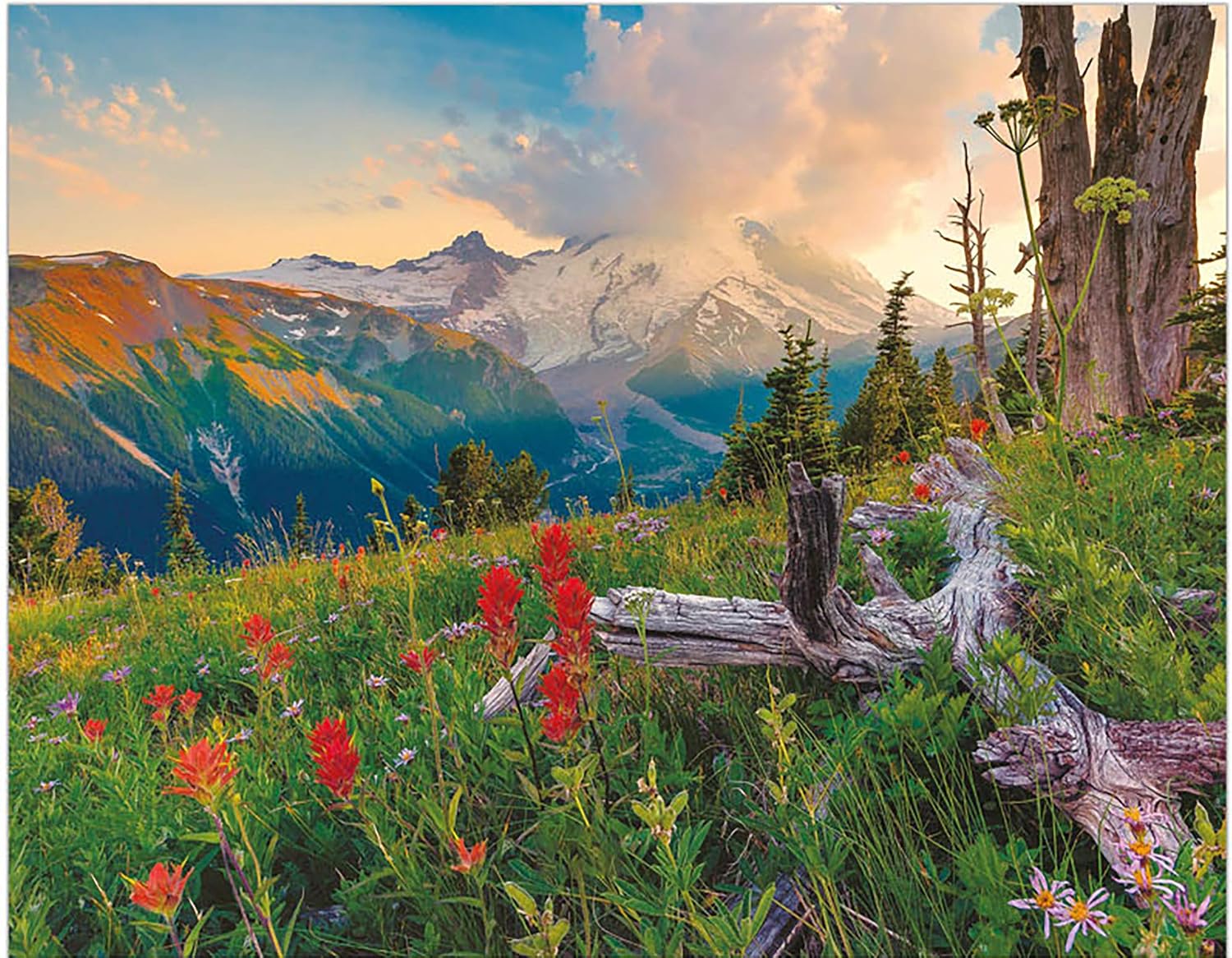 Amazon.com: Simply Calendar" Scenes of America" 2020 Lightweight Wall ...