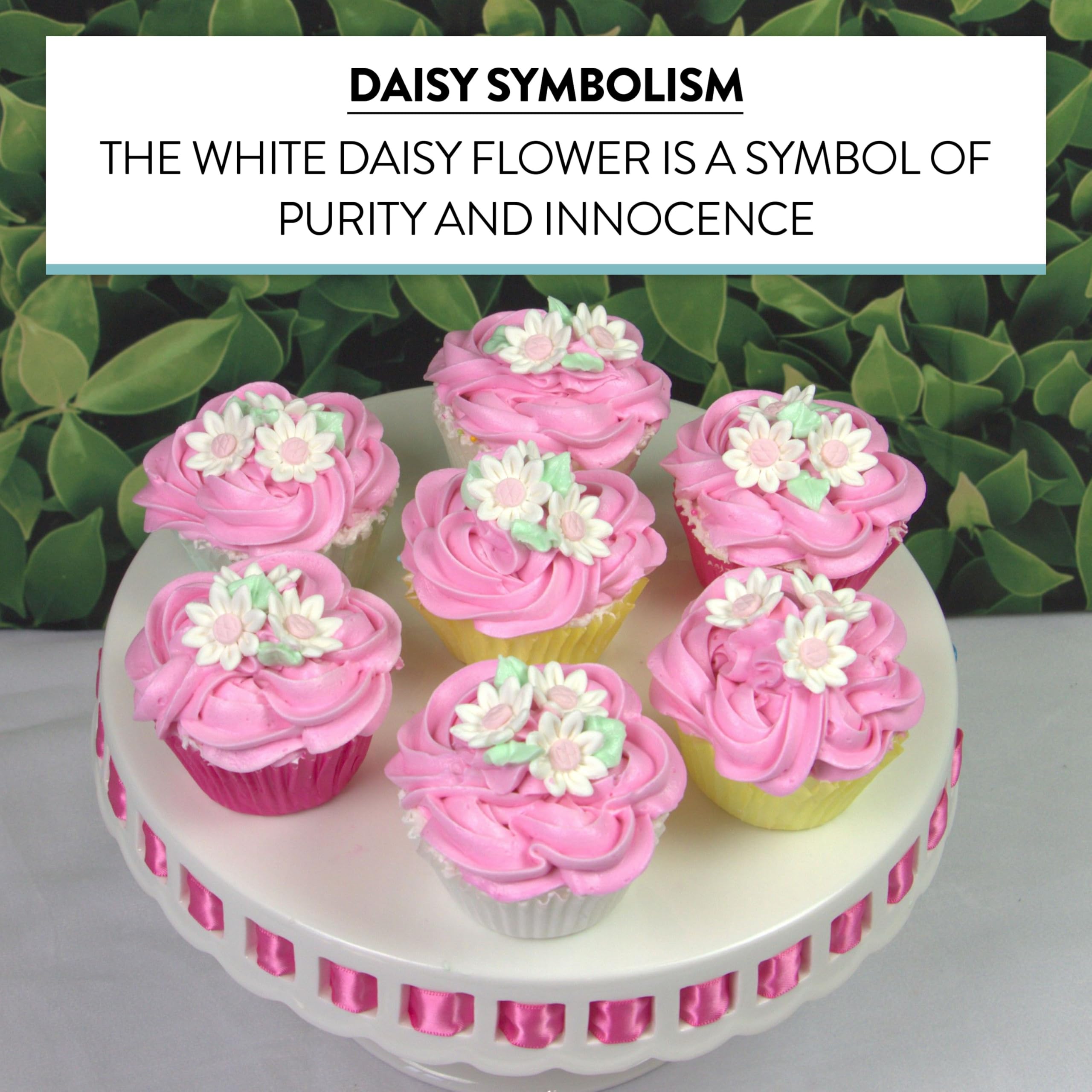 Snapklik.com : Edible Daisy Cake Decorations, 36 Count White And Pink ...