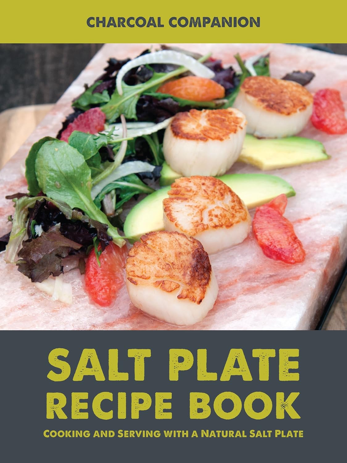 Amazon.com: Himalayan Salt Plate Recipe Book - Over 20 Recipes for ...