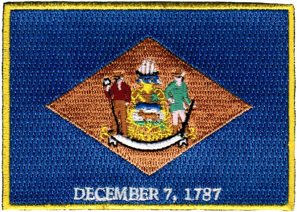 Amazon.com: Delaware State Flag Embroidered Patch Iron-On DE Emblem ...