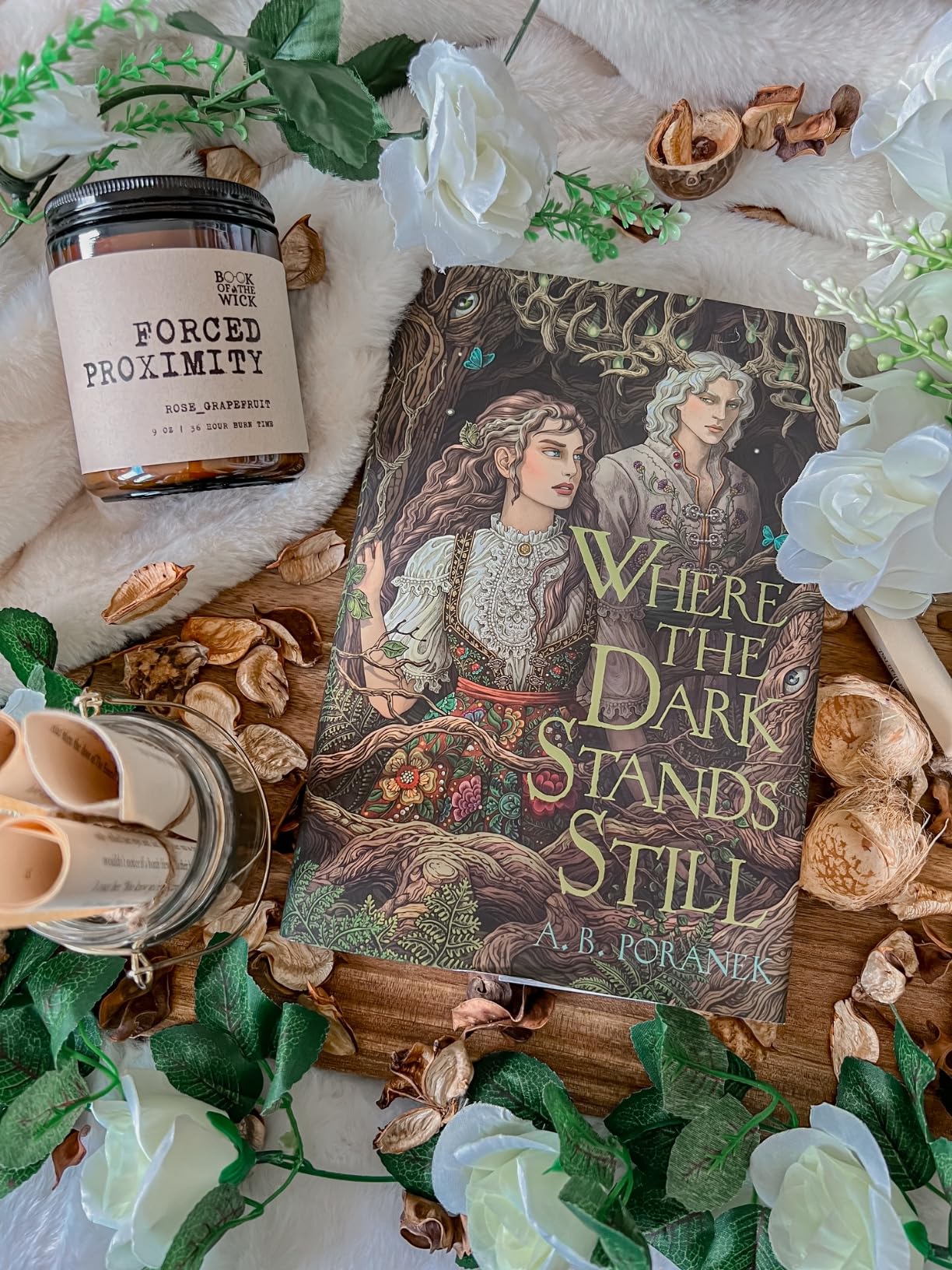 Where the Dark Stands Still: A sweeping, gothic YA fairytale romance ...