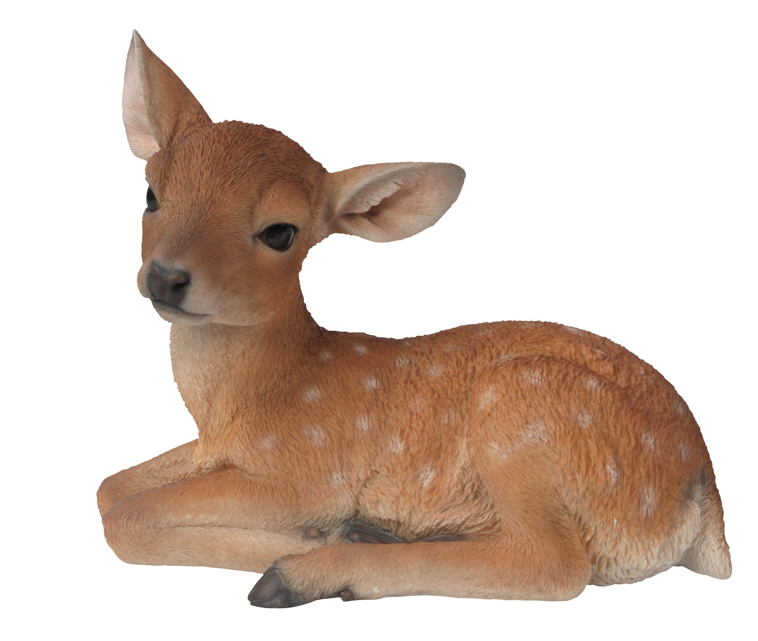 Vivid Arts XRL-DEER-C Size C Real Life Laying Fallow Deer Statue ...