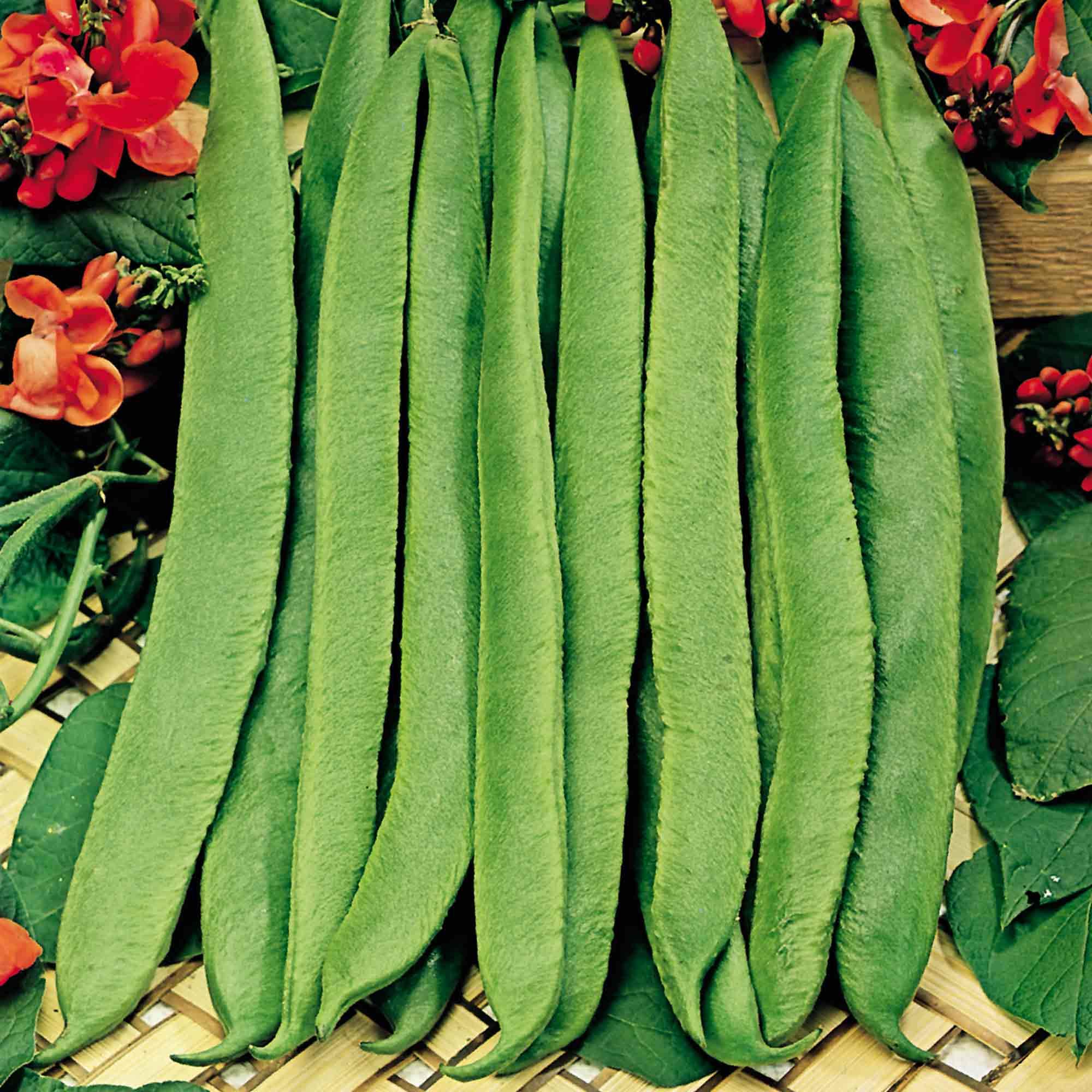 Vegetable Seed Border Annual Flower Seeds | Kings Seeds | A Leading