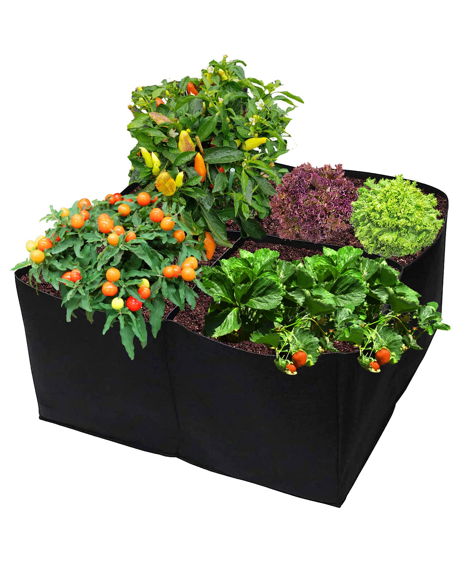 Amazon.com : PAPLROBR 2 Pack Square Plant Grow Bags, 4 Grids 2FT X 2FT ...
