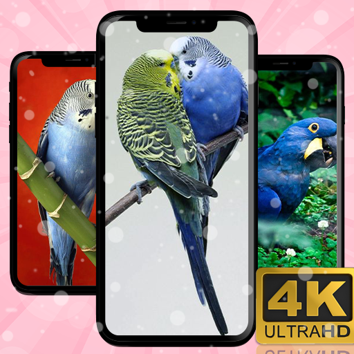 Birds Wallpapers HD & Backgrounds app | No Ads | Lock & Home Screen ...