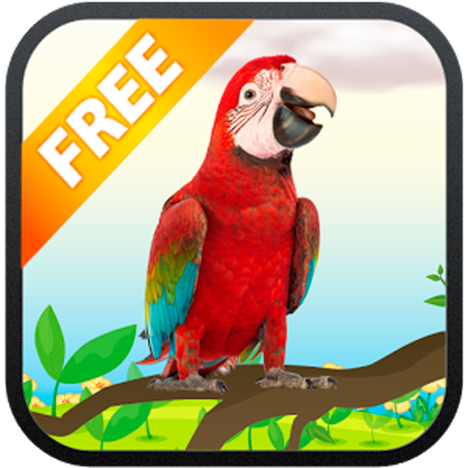 Real Talking Parrot - App on Amazon Appstore