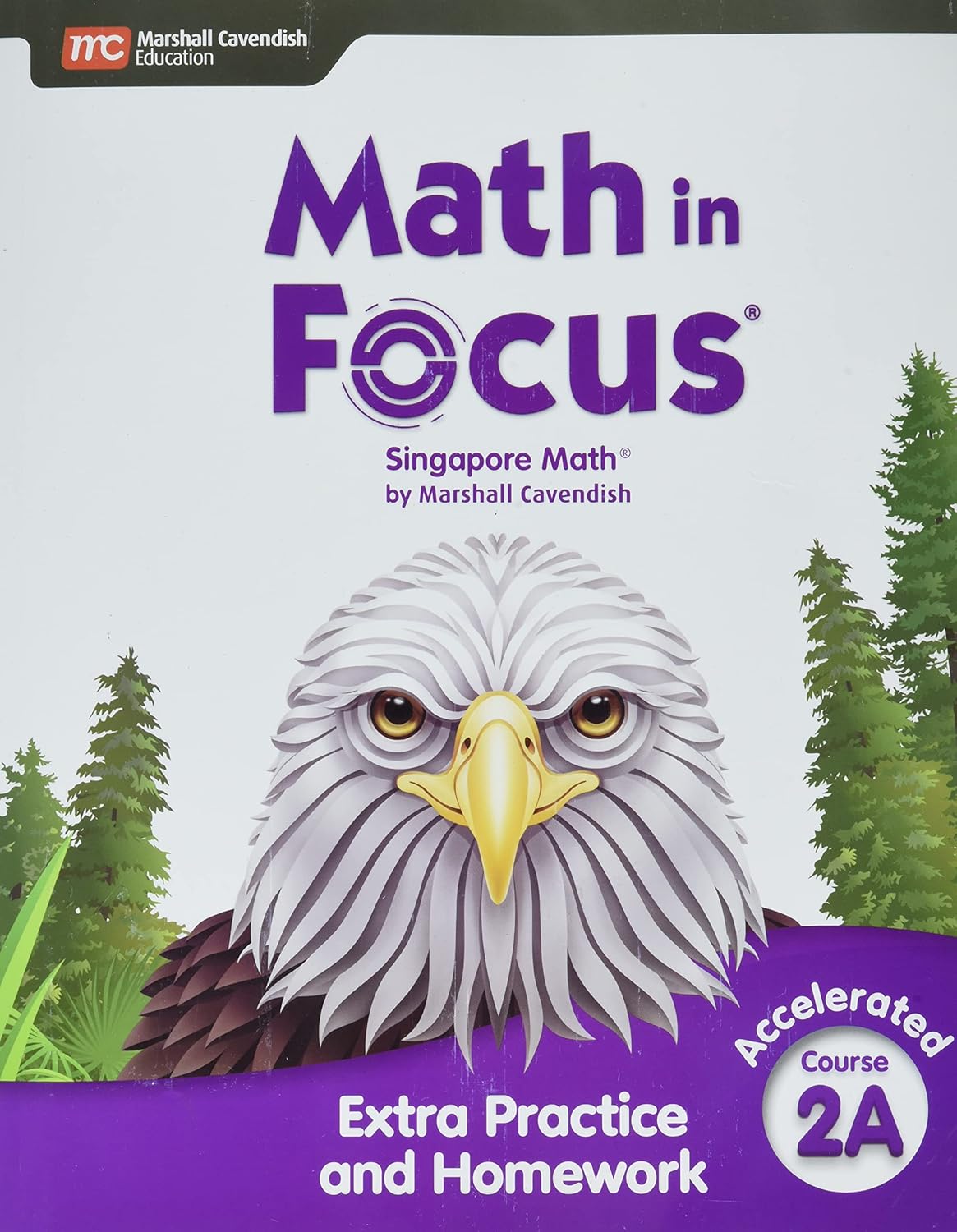 Extra Practice and Homework Volume A Accelerated (Math in Focus ...