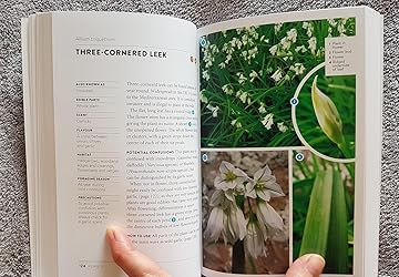 Foraging Pocket Guide: Food for all seasons from Britain's woods ...