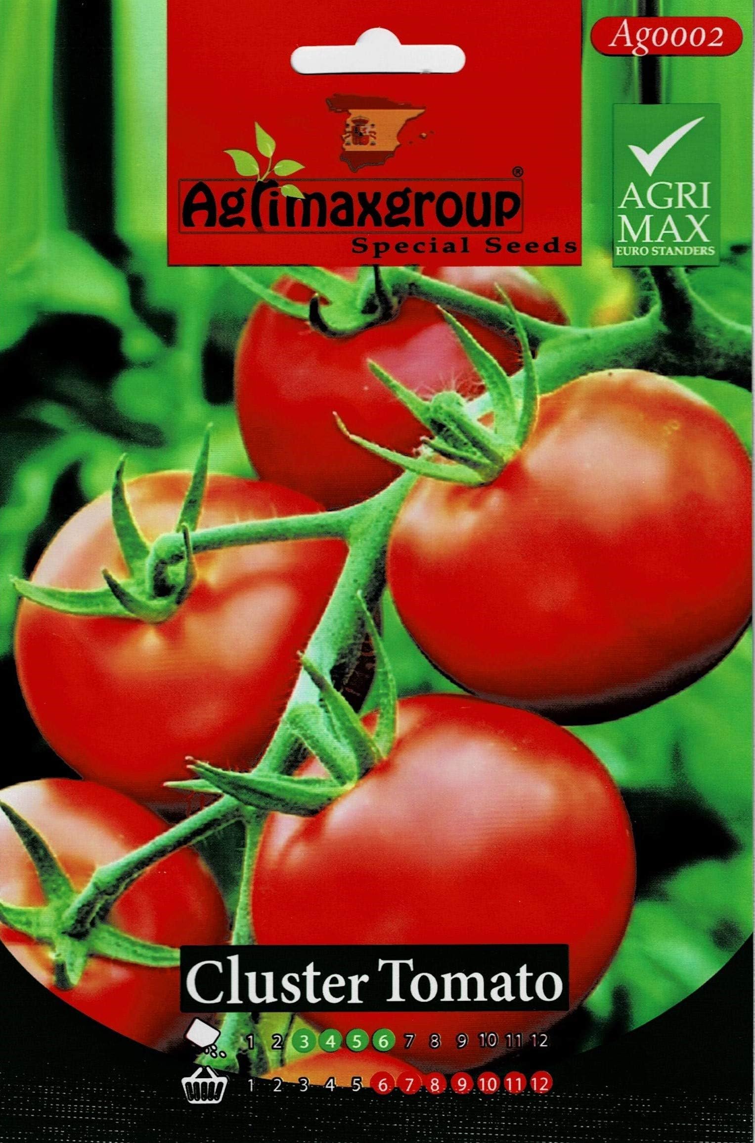 Hortus Cherry Tomato Premium Quality Seeds (Pomodoro Red Cherry) (Made ...